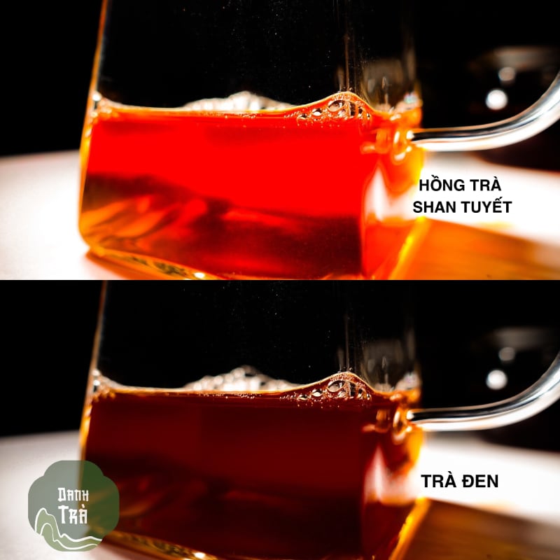 Phân Biệt Giữa Trà Đen Và Hồng Trà | Danh Trà